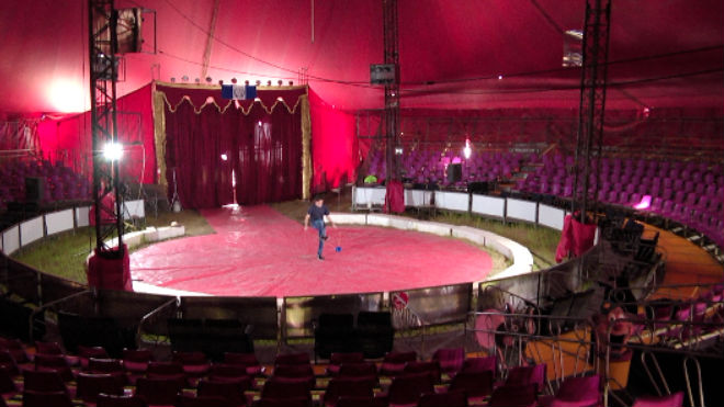 La vida detrás del circo, una rutina nómada que no siempre es como la ...