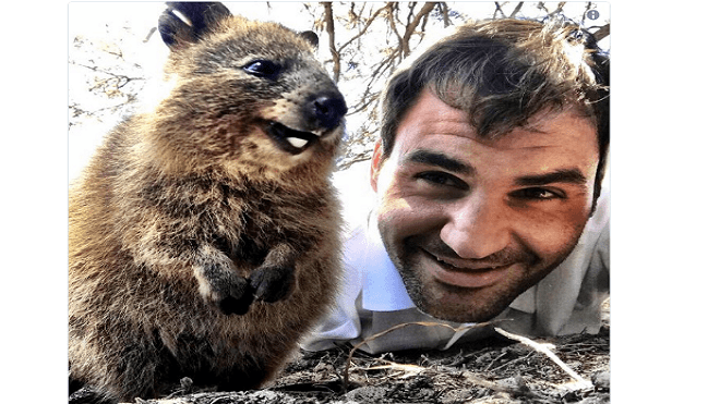 El selfie de Roger Federer con un quokka, "el animal más feliz del ...