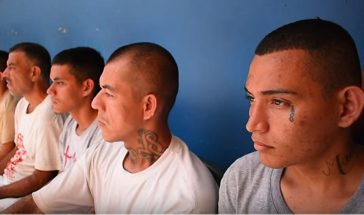 Mara Salvatrucha Y Barrio 18 Suman Ya Unos 17 Mil Pandilleros