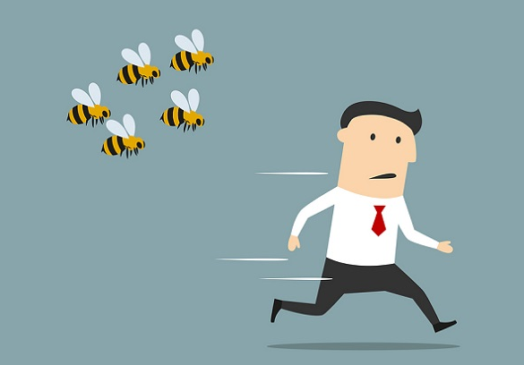 Conozca sobre la apifobia, un temor cada vez más común