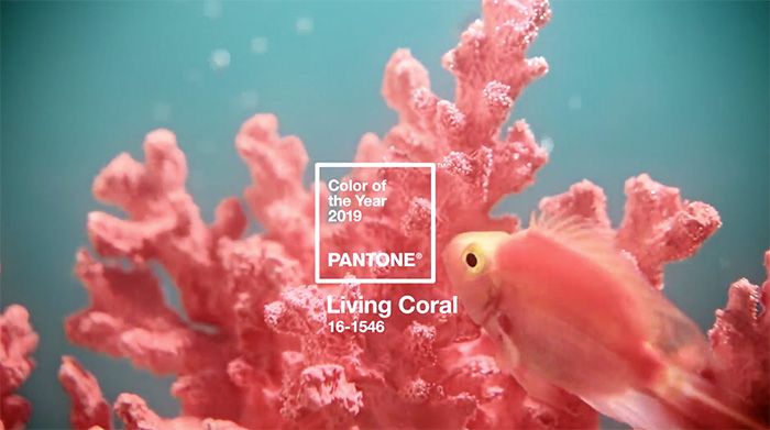 El color del año 2019: Living Coral