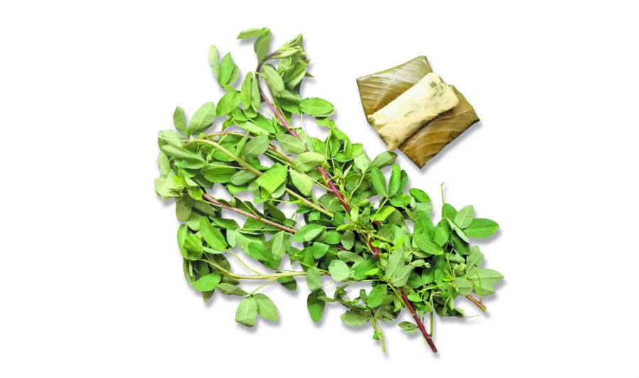 Usos y propiedades del chipilín