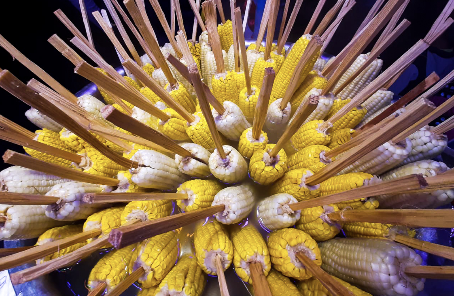 Los sabores de la feria: Así se preparan los elotes locos, manzanas ...