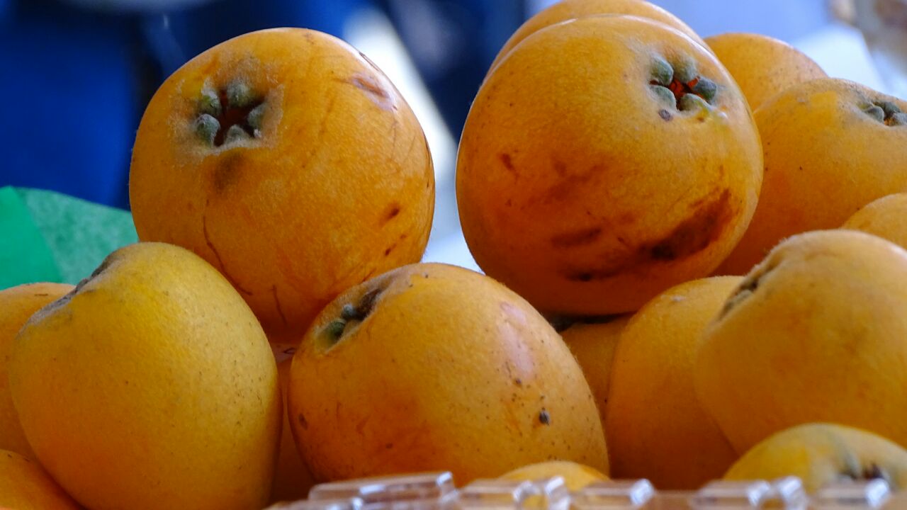 Festival del Níspero 2019 - Guatevision