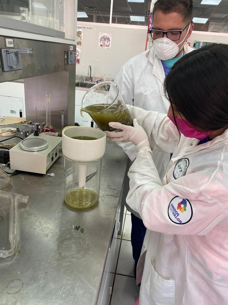 Coronavirus: el gel antibacterial creado con plantas por estudiantes ...