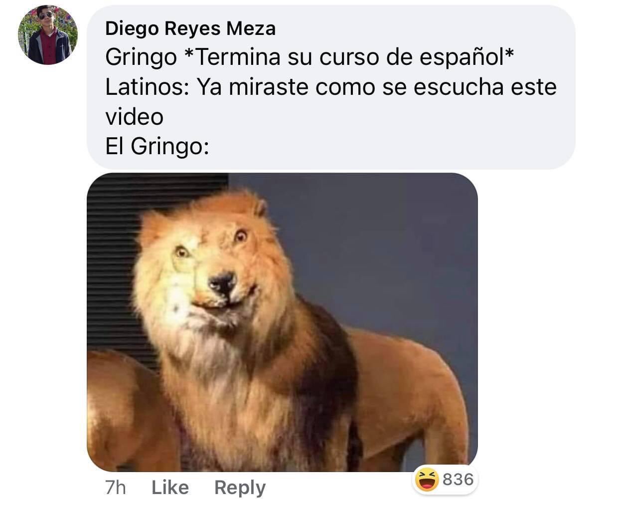 ¿Cómo dijo? Este es el origen del meme de moda del león confundido ...