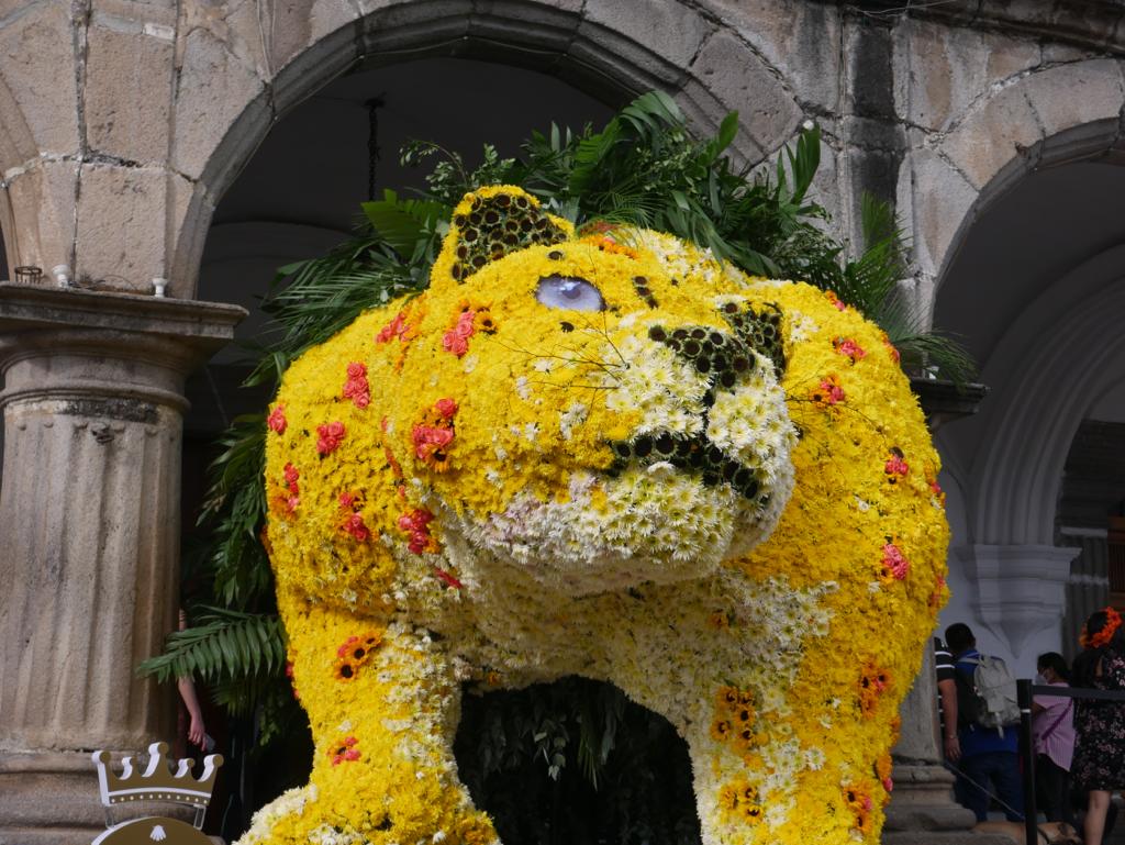 Galería: La Antigua Guatemala se viste de arte, color y aroma con el ...