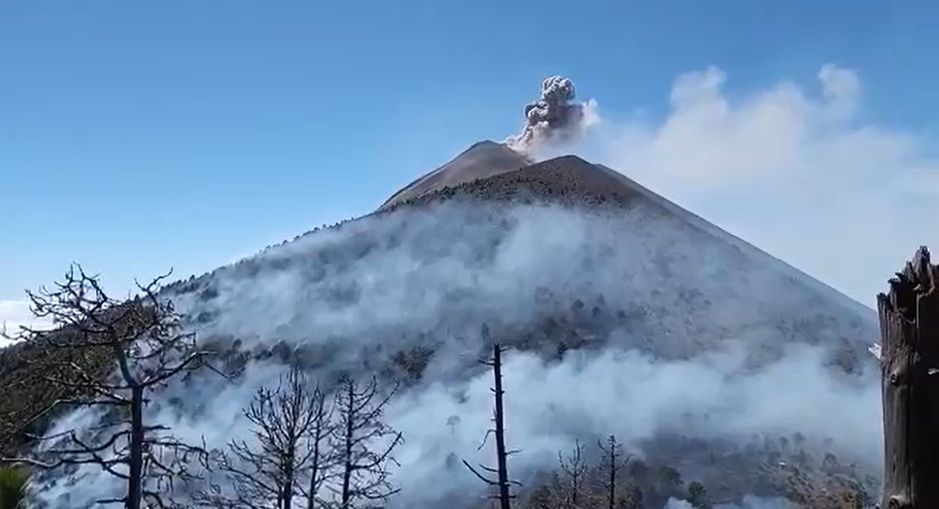 Video: Así son las labores para apagar un incendio forestal provocado ...