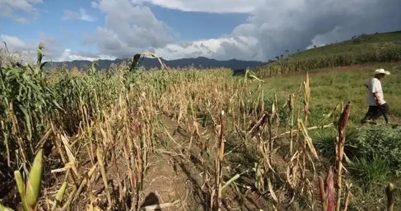 Wolrd Vision presenta proyecto que busca impactar a 10 millones de ...