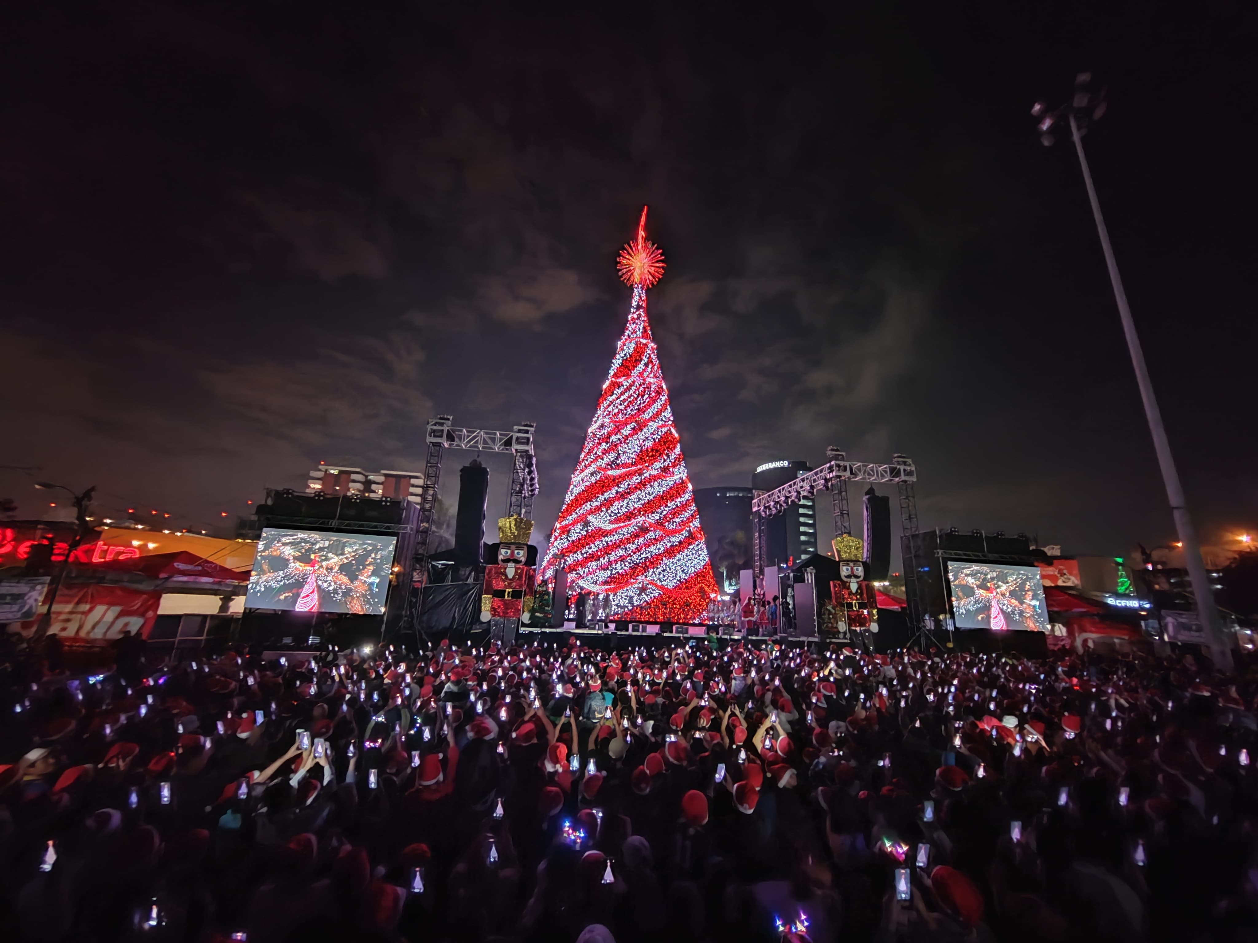 Llega la época de Navidad: inicia el Festival Árbol Gallo en el ...